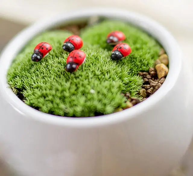 Garden ornaments 10pcs hot cartoon mini ladybird moss micro landscape ...