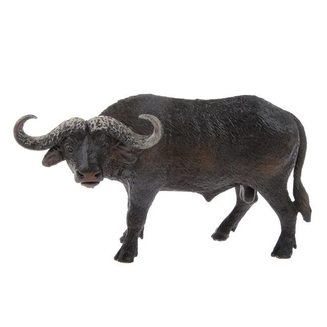 Buffalo Pictures For Kids