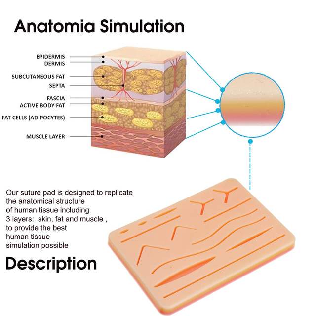 Suture Training Kit | asghedom.com