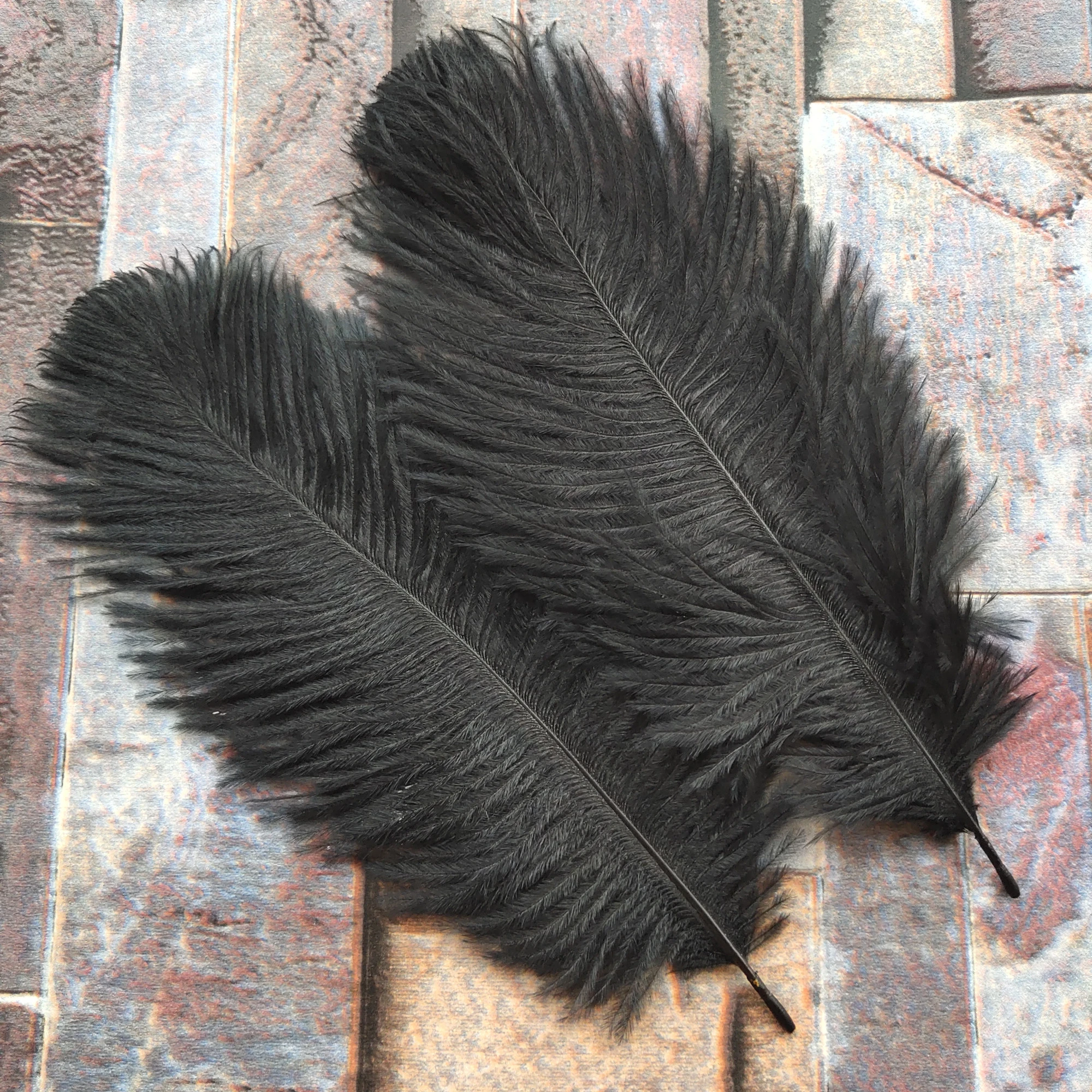 20 ostrich feathers floor price