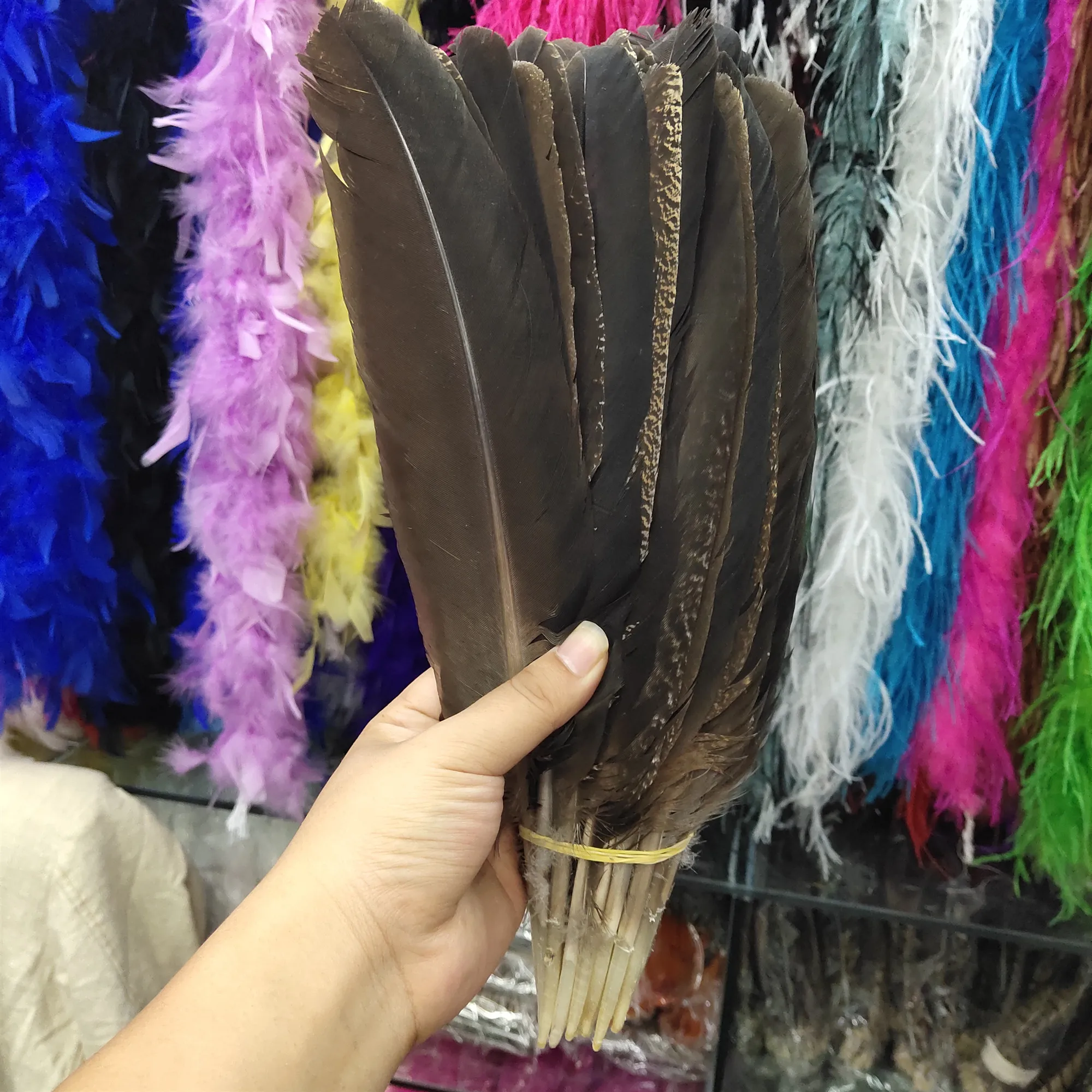 Wholesale Rare 100pcs Natural 25 30cm/10 12 inches Pheasant feather ...