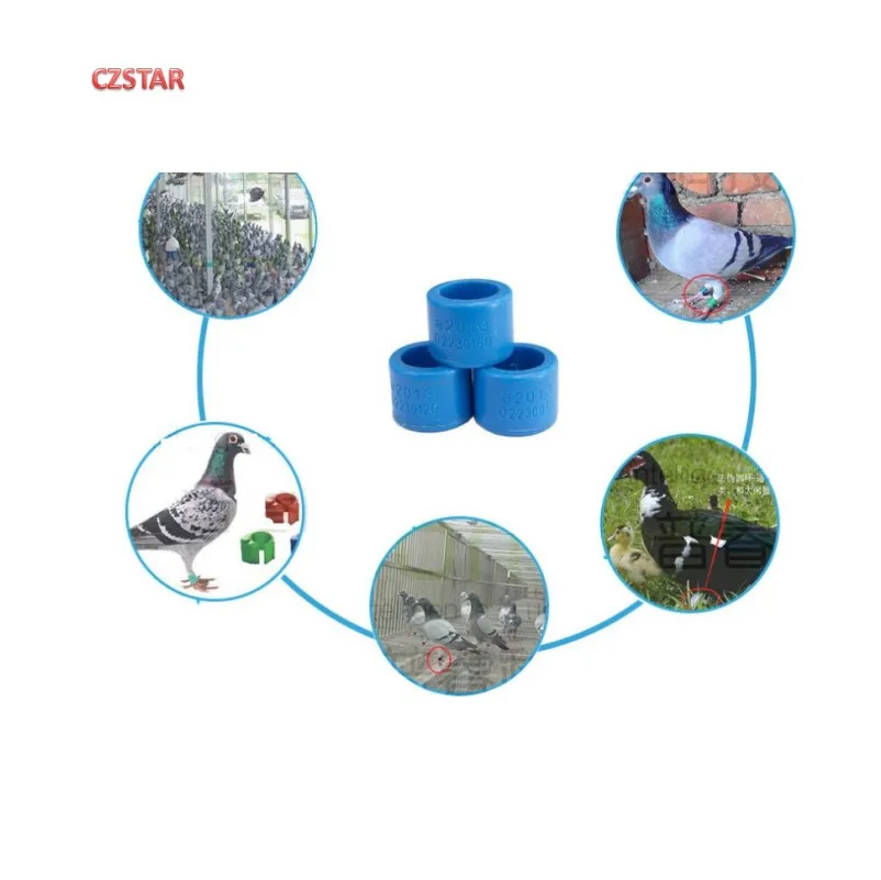 RFID-Animal-Pigeon-Chicken-Bird-Collar-Tag-programmable-reusable-animal ...