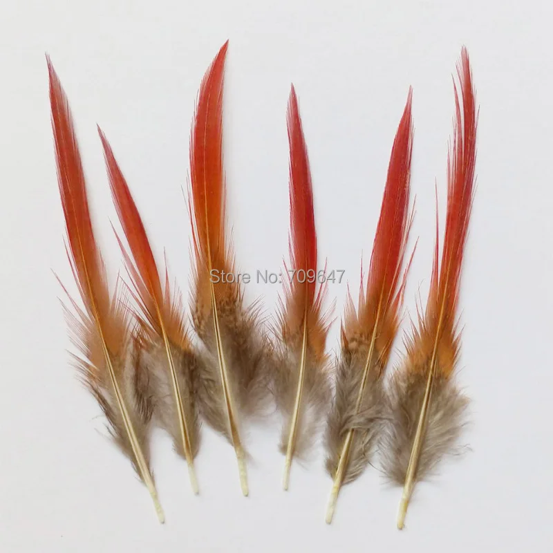 50pcs/lot!4-6inches 10-15cm Long Red Tipped Golden Pheasant Feathers ...