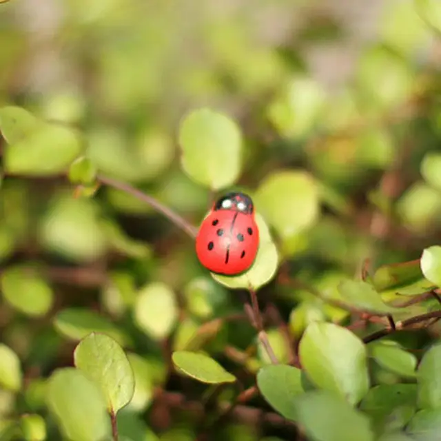 Garden ornaments 10pcs hot cartoon mini ladybird moss micro landscape ...