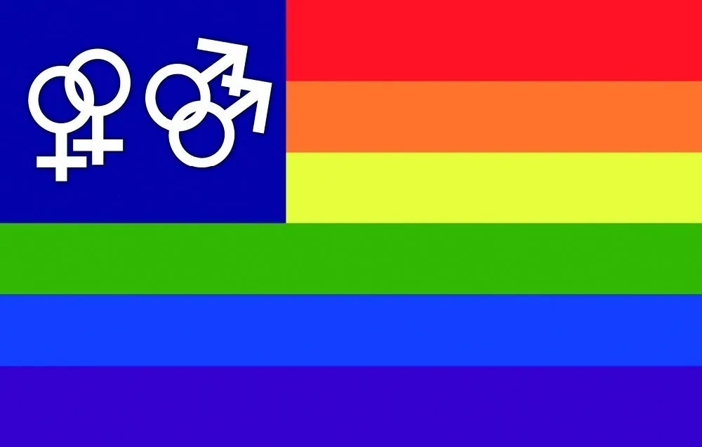 Lesbian Pride Flag | Puppy Play Flag – Gflashy