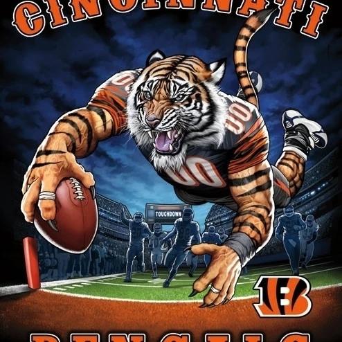 Cincinnati Bengals End Zone Poster Print (22 x 34)|Plaques & Signs ...