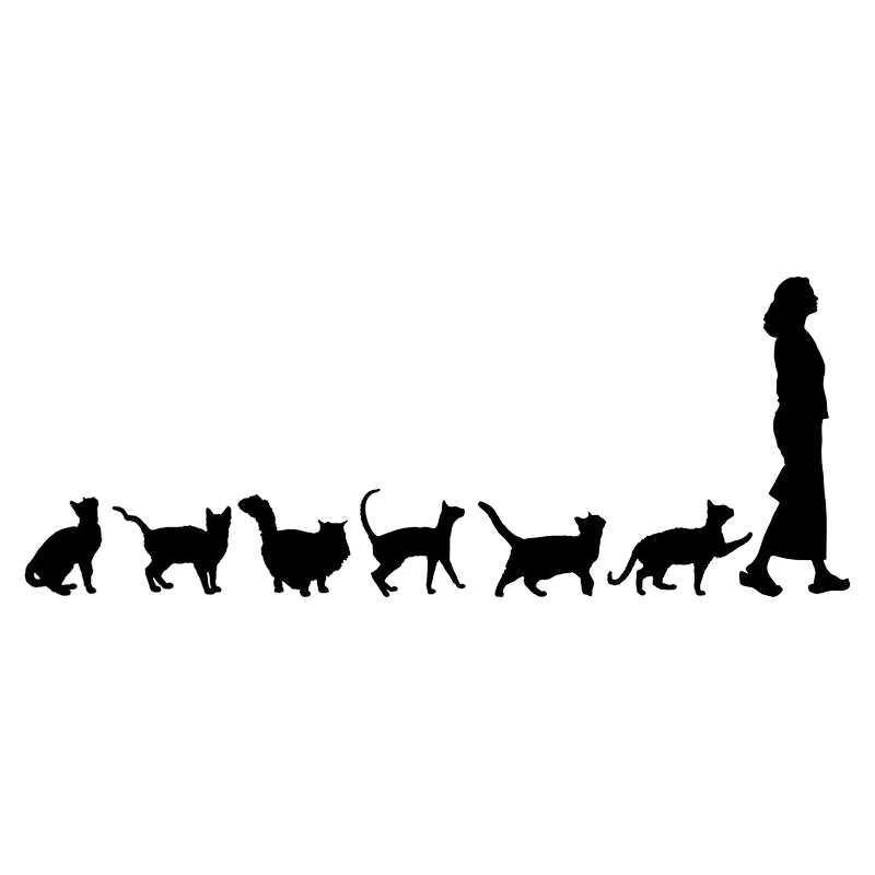 Crazy Cat Lady Car Decal