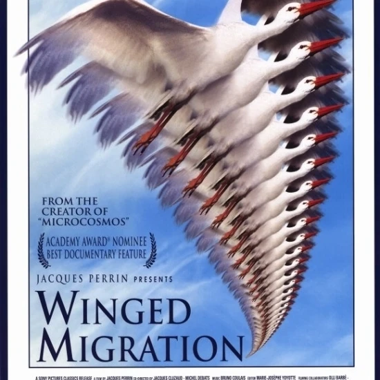 Winged Migration Movie Poster (27 x 40)|Plaques & Signs| - AliExpress
