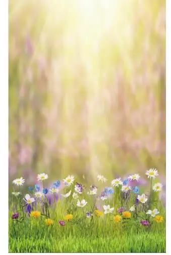 And Eggs Wallpaper Spring