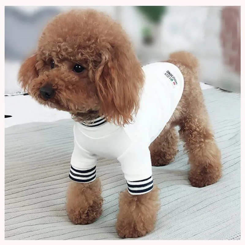 What Size Clothes Do Toy Poodles Wear at Sally Patrick blog