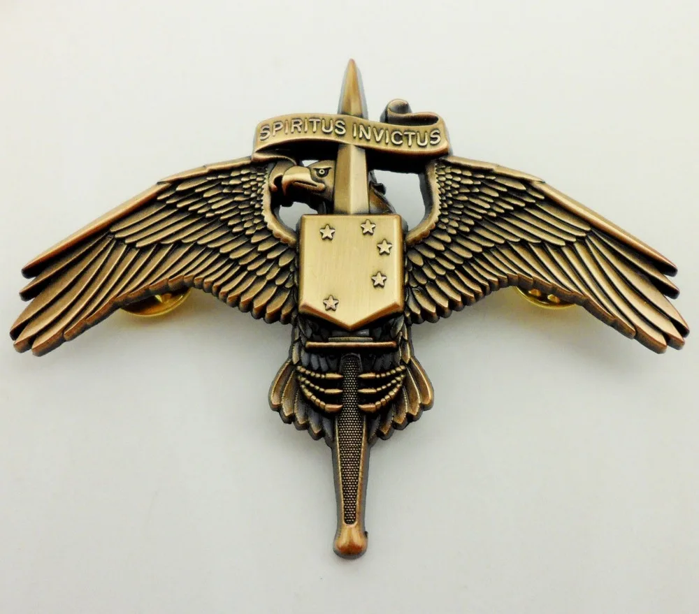USMC MARINE RAIDERS BADGE INSIGNIA USMC MARSOC WINGS BADGE PIN GOLDEN ...