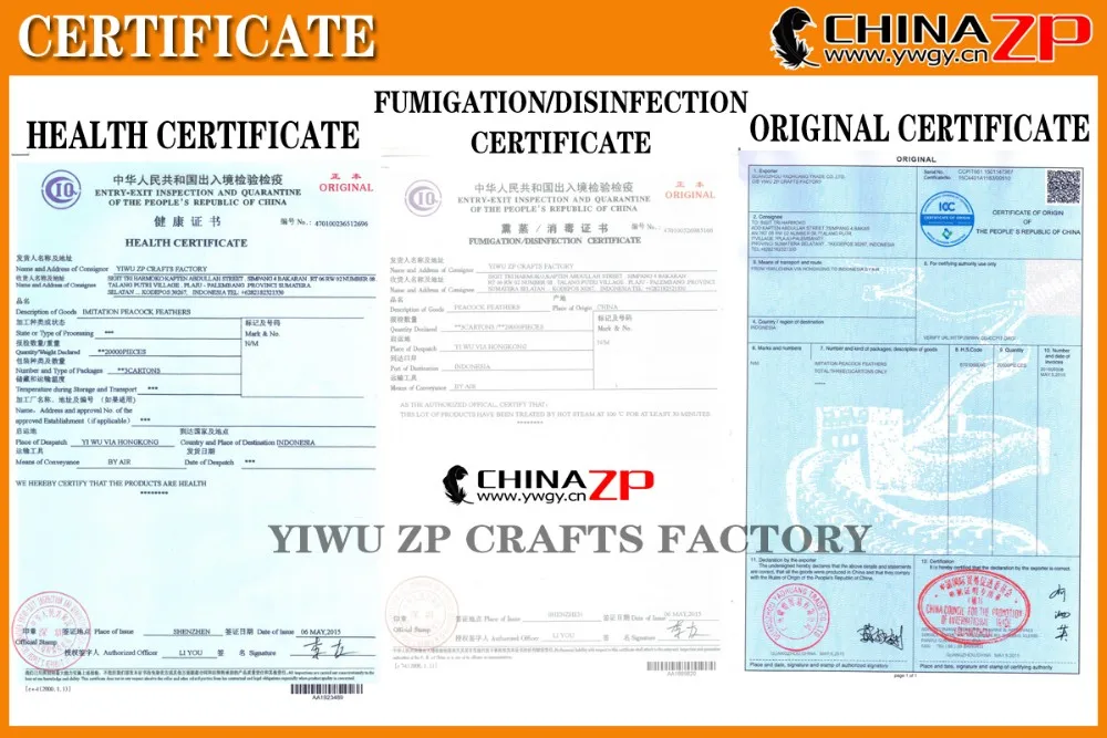 CHINAZP Feather Supplier for HEALTH CERTIFICATE FUMIGATION/DISINFECTION ...