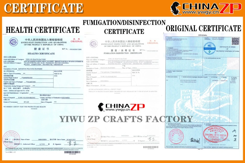 Chinazp Feather Supplier For Health Certificate Fumigation/disinfection ...