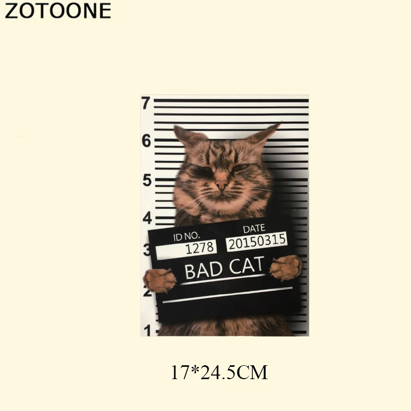 Bad Cat Birthday Card