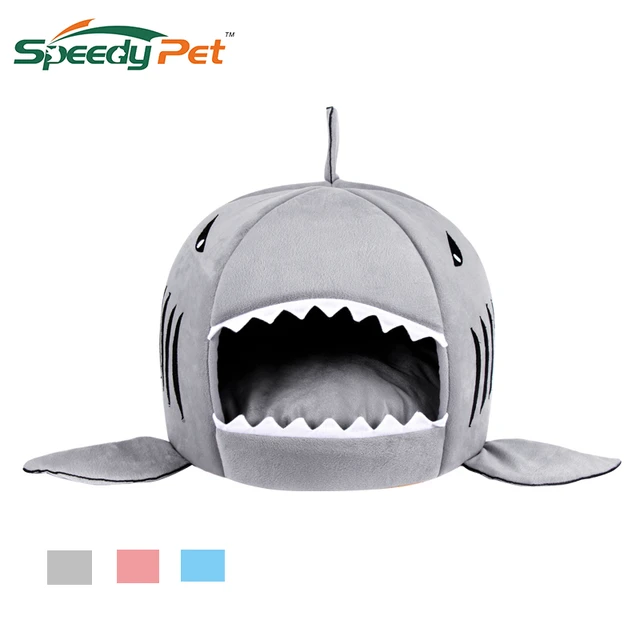Pet Sharks