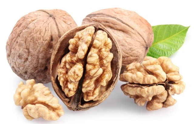 Walnut As Brain