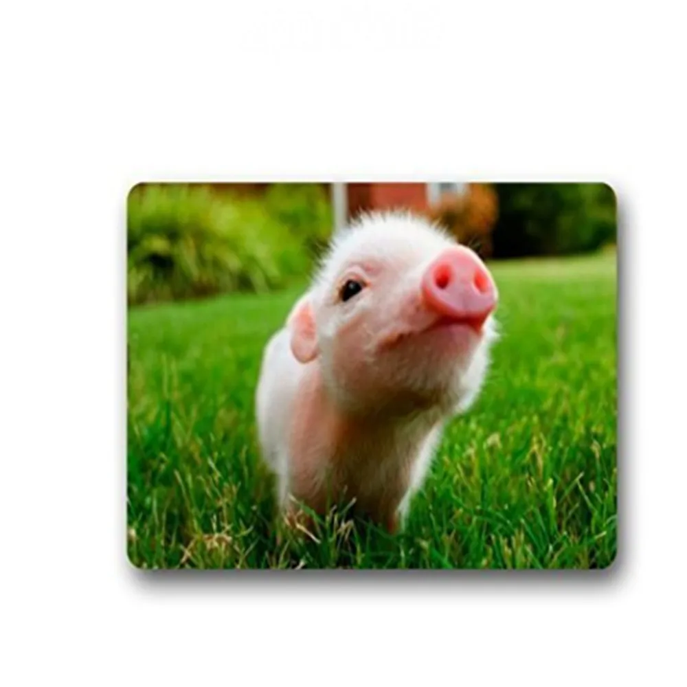 Baby Pig In A Blanket