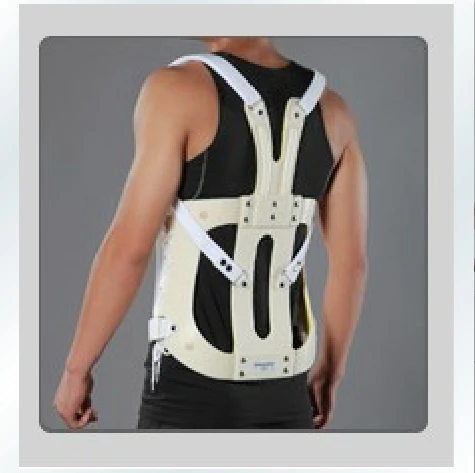 Taylor Knight Beijing Global Backrest Type 2 Thoracolumbar Spine ...