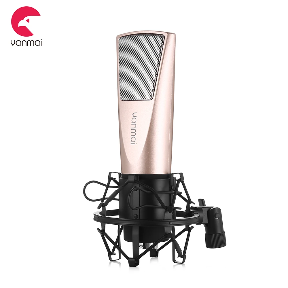 Yanmai Microphone Professional Condenser Microphone Steel Net Studio ...