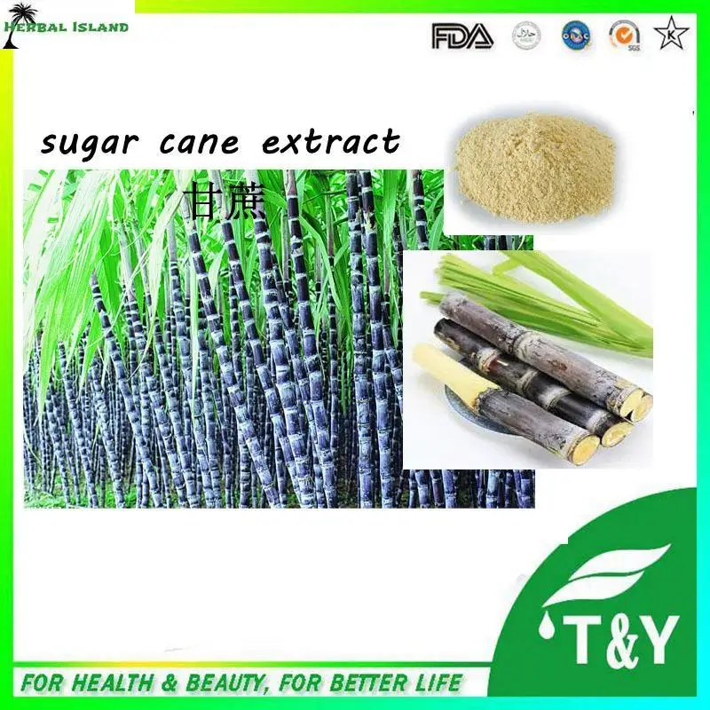 Pure natural Sugar Cane Extract/Sorghum extract powder 100g/lot|cane ...