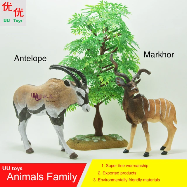 Markhor Antelope