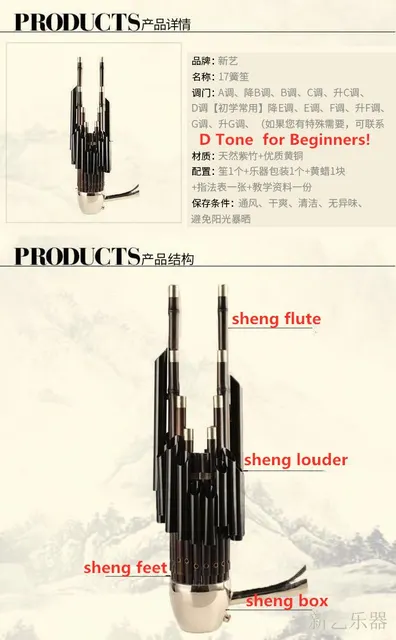 Sheng Instrument