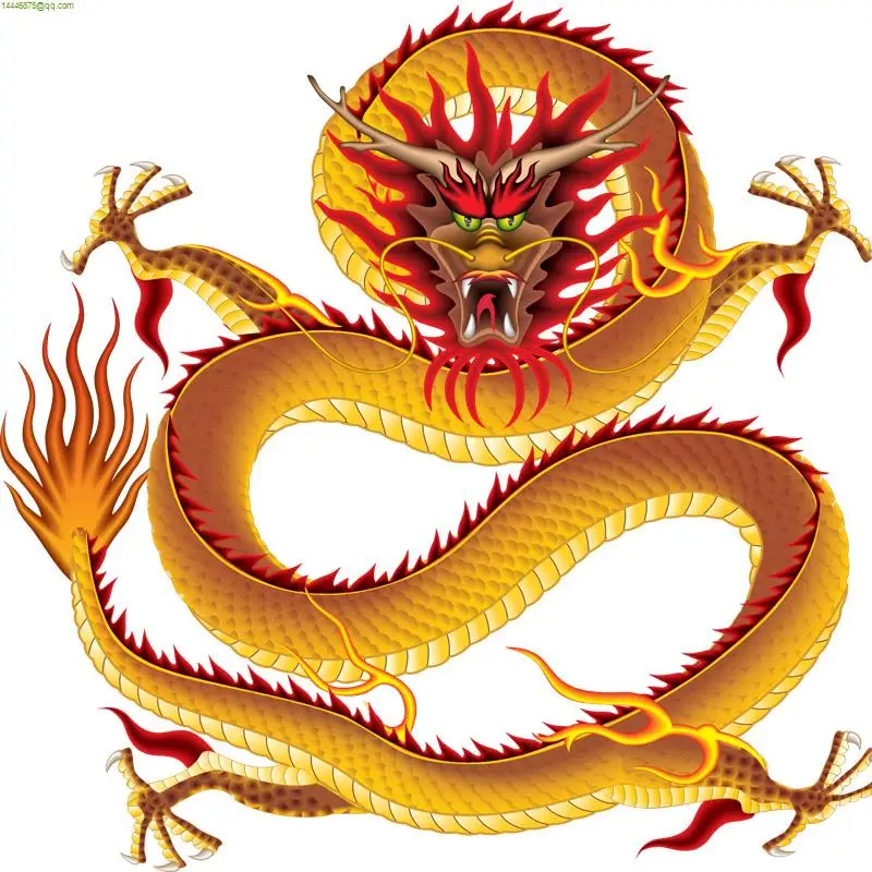 Chinese Dragon Front View