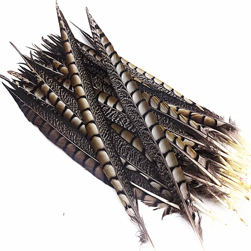 50 stücke Natürliche Federn Faisan Bunte Federn Fliegen Binden Lange ...