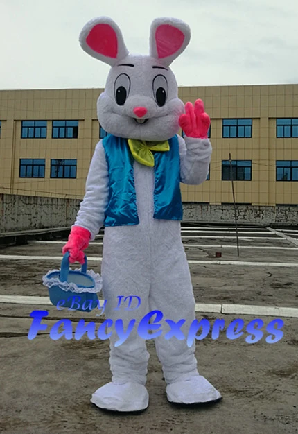 Halloween Costumes For Rabbits