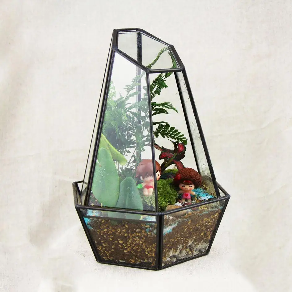 Hexagon Modern Glass Geometric Terrarium 2 Part Tabletop Succulent Fern ...