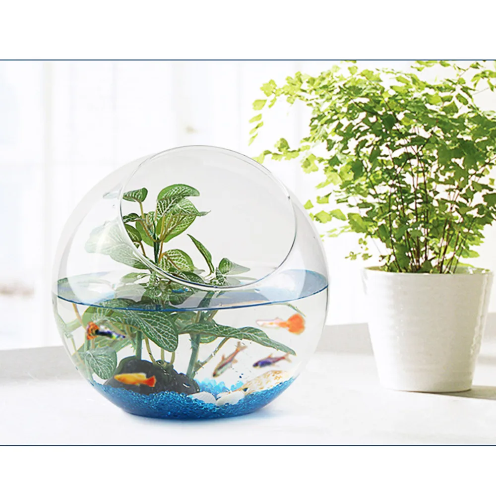 250g-The-Tank-Bottom-Blue-Sand-Aquarium-Substrate-Landscaping ...