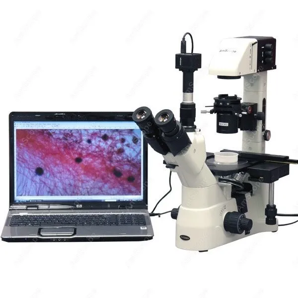 Plan Kohler Phase Inverted Microscope AmScope Supplies 40X 900X ...