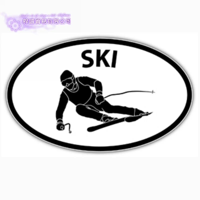DCTAL Ski Sticker Snowboarding Decal Skiing Posters Board Vinyl Wall ...