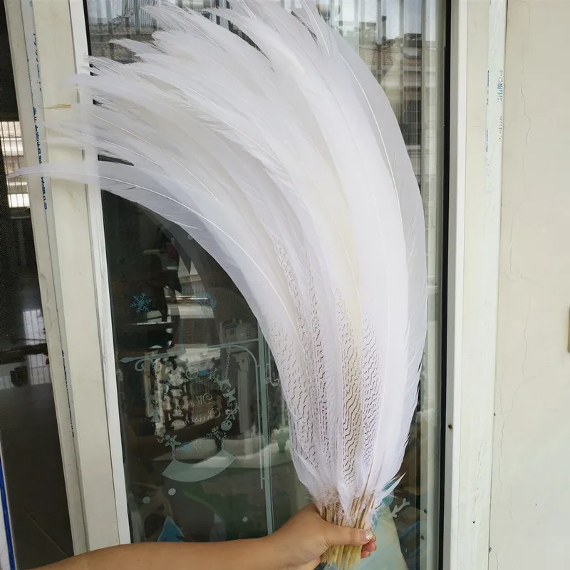 50pcs beautiful natural silver chicken feathers long 26-28 inches / 65 ...