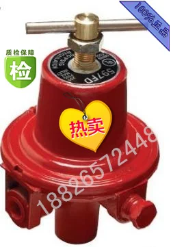 REGO genuino América 597FA 597FC 597FD 597FB primera válvula de alivio ...