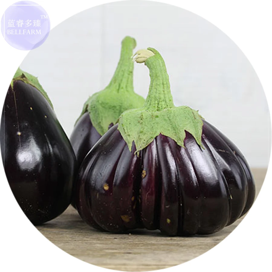 US$ 0.72 - BELLFARM Rarest Heirloom 'Emperor' Black Pear Eggplant ...