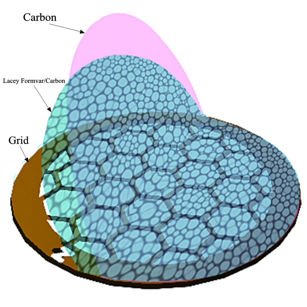 Ultrathin Carbon Film On Lacey Formvar/carbon For Tem Grids ...