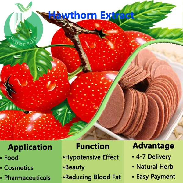 Chinese Hawthorn Fruit