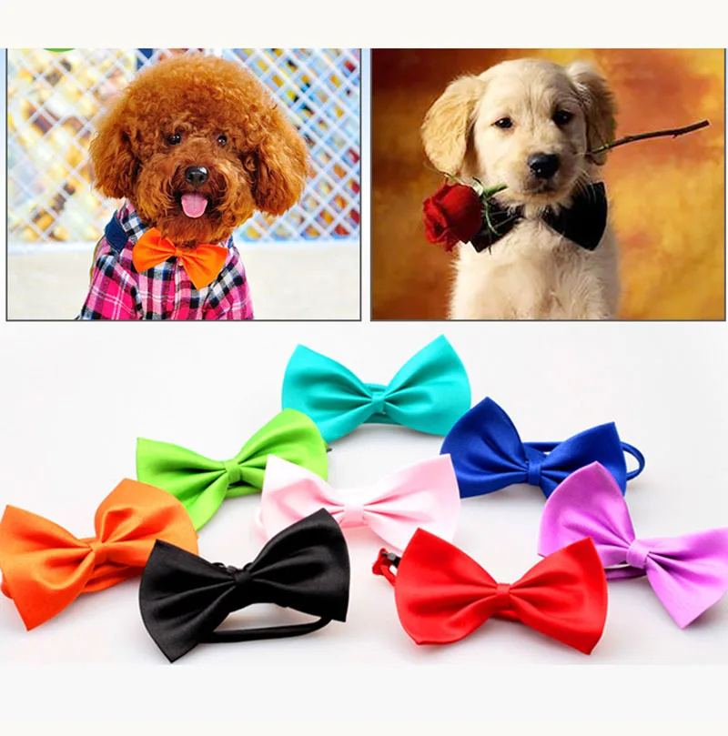 Lazos para el cuello para perros y gatos, lazos para cachorros ...