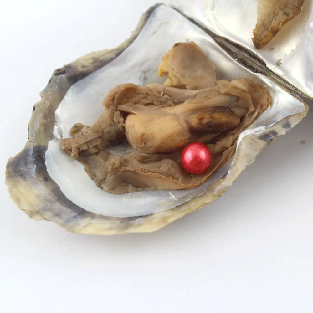 New-6-7MM-Red-Color-Pearl-Oysters-Natural-Akoya-Oyster-Skittle-Pearls ...