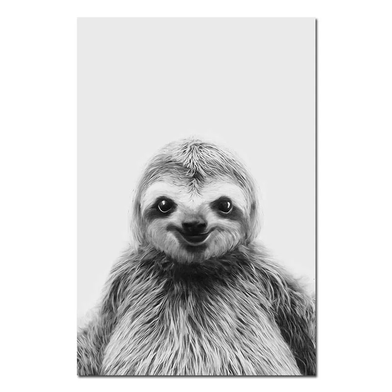 Sloth Black And White