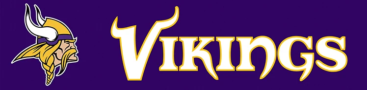 Minnesota Vikings Wide Tailgate Banner Flag 8X2FT Custom Flag 110g ...
