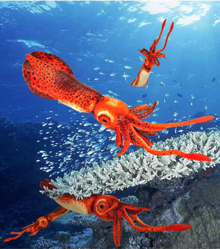 Free Shipping Cuttlefish 80cm Plush Toys Dolls large long Pillow Seat ...