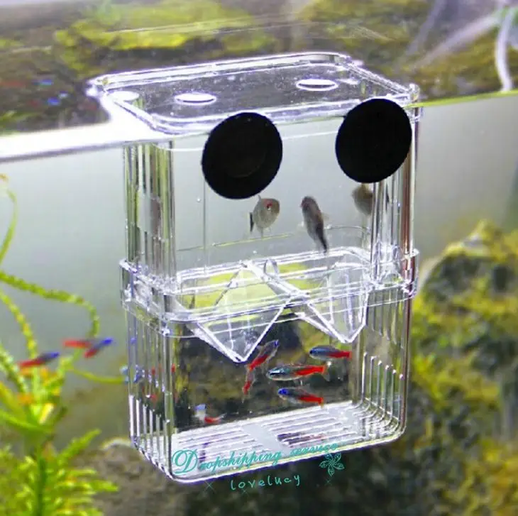 Aquarium Fish Tank Hatch Box Hanging Isolators Boxes Double Layers ...