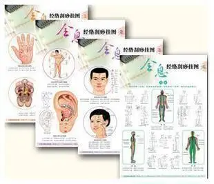 Zhang-Xiuqin-Holographic-Meridian-Scraping-therapies-Wall-Map-charts ...
