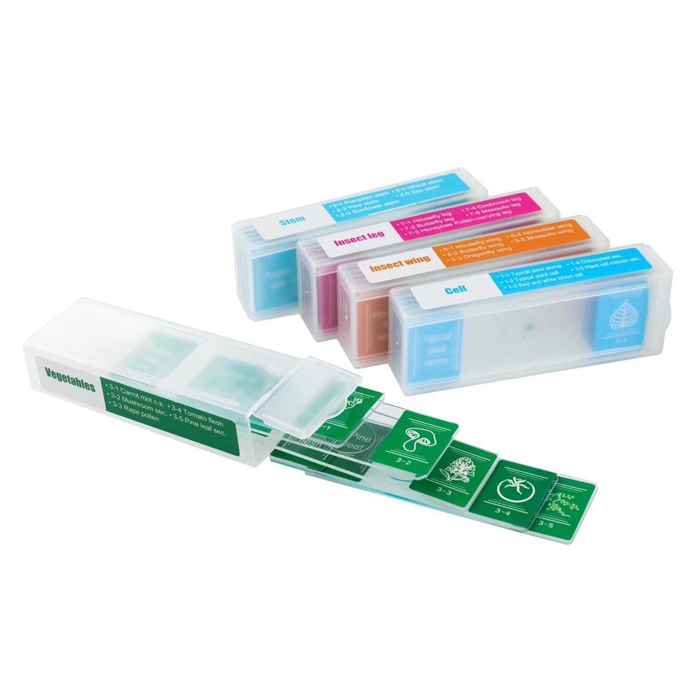 35-Piece-of-Colorful-Microscope-Specimens-Biological-Specimen-Slides ...