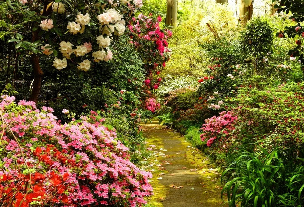 Laeacco Flowers Garden Pathway Scenic Photography Backgrounds ...