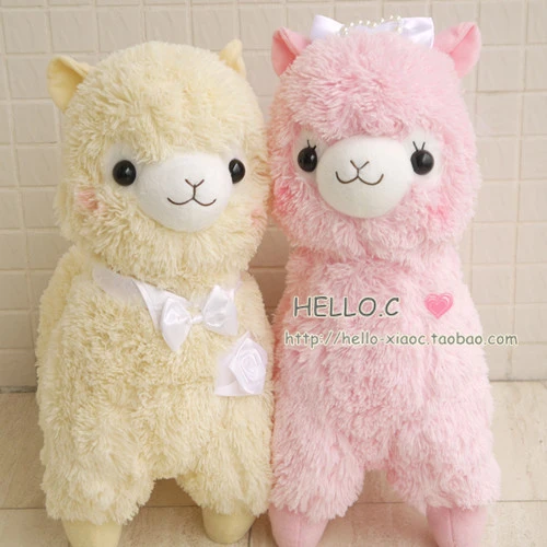Alpacasso Collection