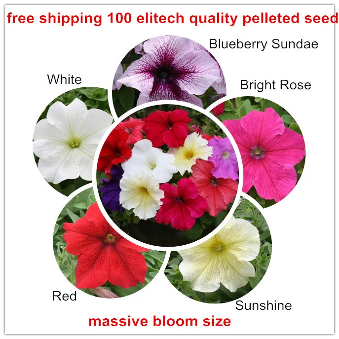 buy one get two free 100 pieces elitech pelleted blue white yellow red ...