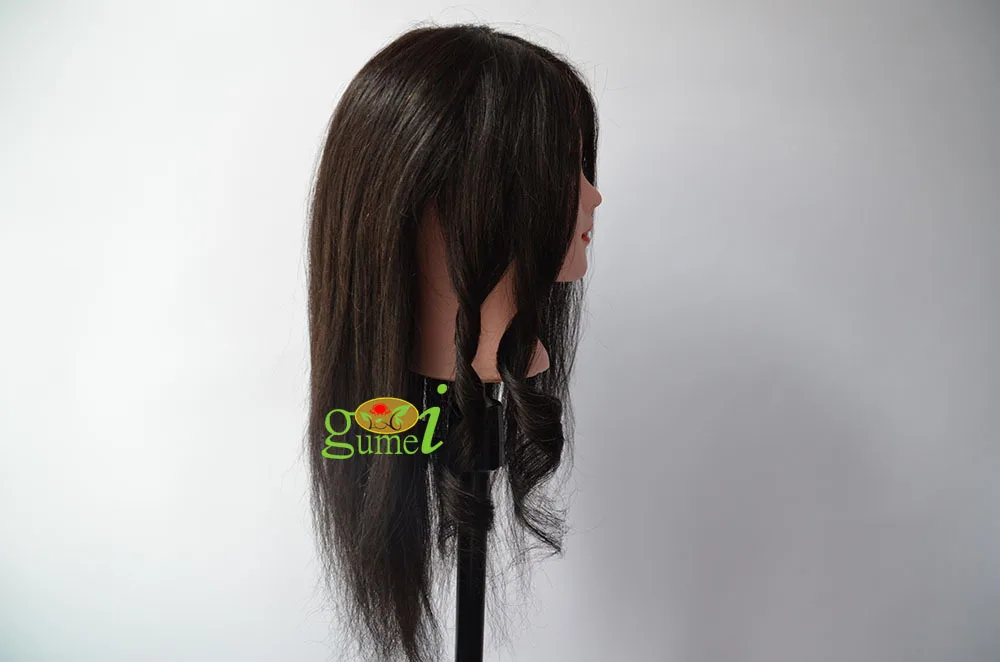 Longest Human Hair